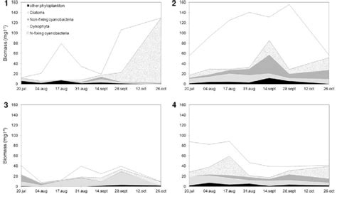 Phytoplankton Biomass And Species Composition Download Scientific Diagram