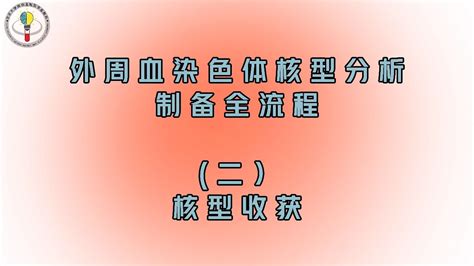 学生教学视频 技能分类 学习 外周血染色体核型分析制备全流程 核型收获 高清1080p在线观看平台 腾讯视频