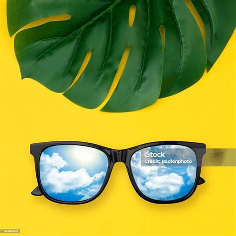 텍스트에 대한 빈 공간이 노란색 배경에 선글라스와 열대 잎 괴물 여행 휴가 개념입니다 여름 배경입니다 플랫 레이 상단 보기 0명에 대한 스톡 사진 및 기타 이미지 Istock