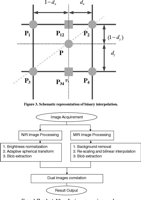 Figure 1 From Nirmir Dual Sensor Machine Vision System For Online