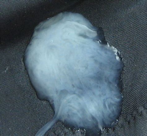 Cum In Pants Xnxx Adult Forum