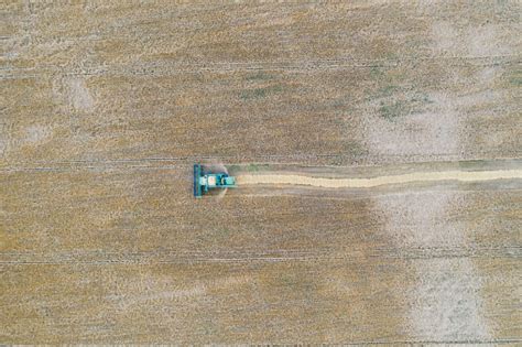 현장에서 일하는 수확기를 결합합니다 밀을 수확하는 농업 기계 공중 보기 가을에 대한 스톡 사진 및 기타 이미지 가을 경관