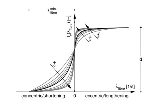How To Find Kc Ke D Values In Force Velocity Charecteristics For Different Muscles