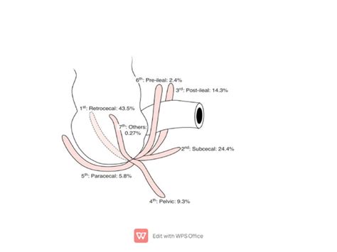 Appendix Bsc Nursing Medical And Surgical Nursing Ppt
