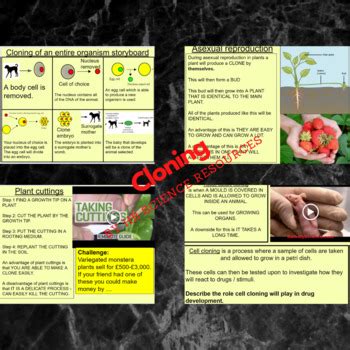 Cloning Teaching Resources TPT