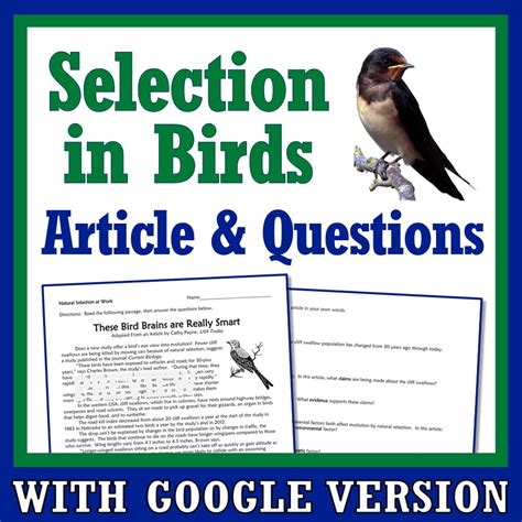 Natural Selection Article And Worksheet Flying Colors Science