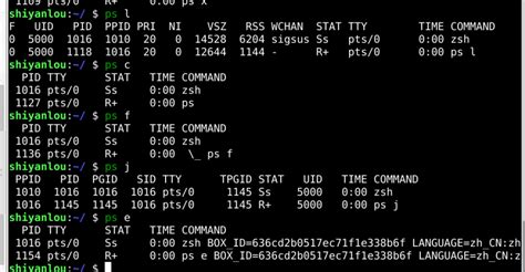 进程管理【交报告】 蓝桥云课