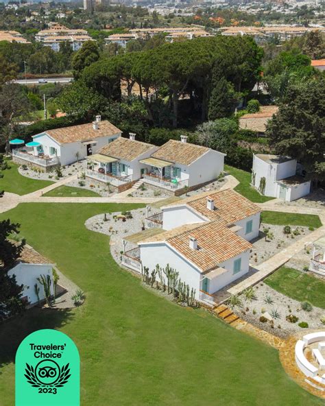 Alexander Arassi Posted On Linkedin