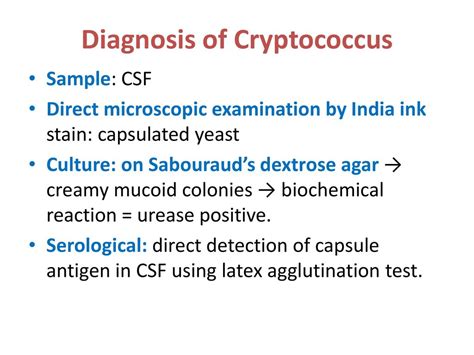 Aseptic Meningitis Assistant Prof Tamer Ata Ppt Download