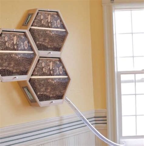 Bee Farming Technology The Modular Honeybee Hive Agronigeria