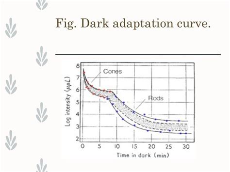 Glare Testing And Dark Adaptation