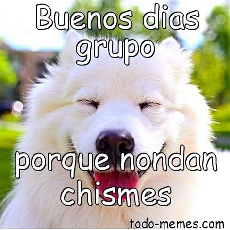 Memes Grupo Buenos Dias