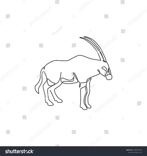 Single Continuous Line Drawing Dashing Oryx Stock Vector Royalty Free 1495397243 Shutterstock