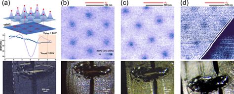 Magnetic Field Measurement Using Abrikosov Vortex Lattices In Nbse 2 Download Scientific