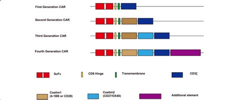 Structures Of Chimeric Antigen Receptors Car First Generation Of