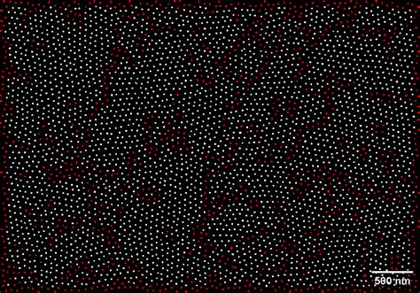 Biovoxxel Neighbor Analysis Exclude Particles Near Edge Image