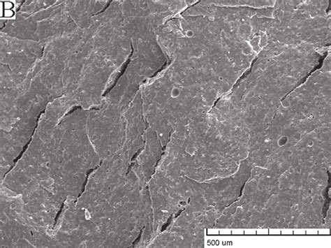Sem Micrograph Of Sample B Download Scientific Diagram