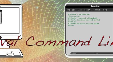 Tutorial Materials Unixlinuxbash Biochemistry Computational Research Facility Bcrf Uw
