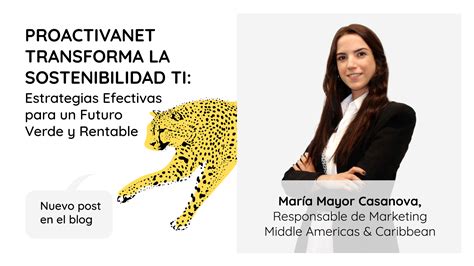 Proactivanet Transforma La Sostenibilidad Ti Estrategias Efectivas