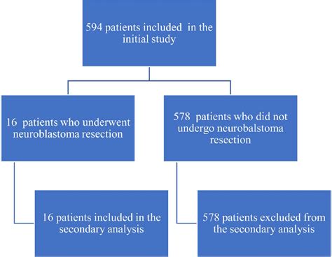 Inclusion And Exclusion Criteria Flow Chart Download Scientific Diagram