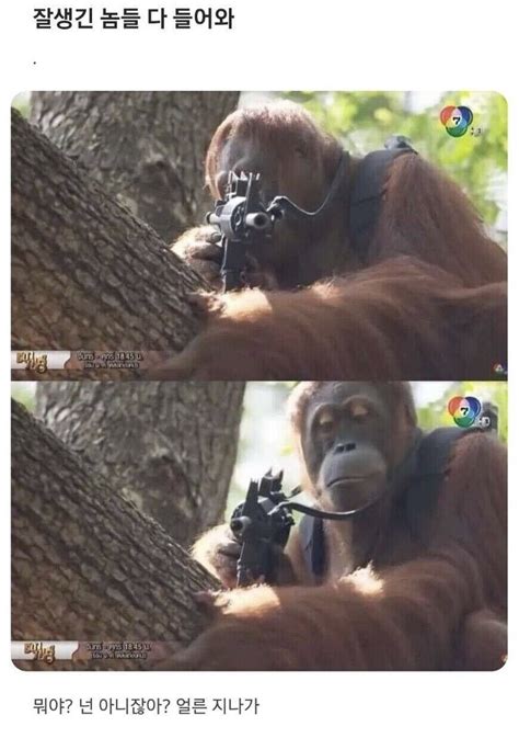 잘생긴 놈들 다 들어와 짱공유닷컴 명예의 쩐당