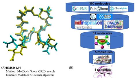 A Molecular Docking Method Validation Rmsd And Superposition Of
