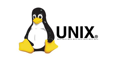 Head Command Examples In Unix Linux Lpi Central