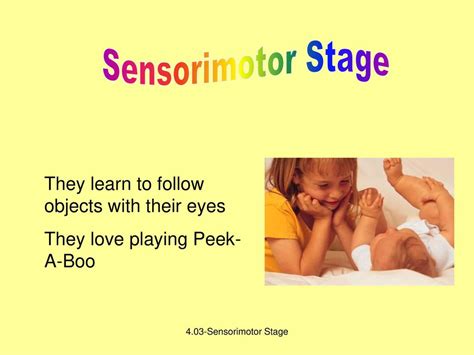 The Sensorimotor Stage Relevance To Infants Ppt Download