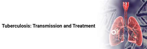Tuberculosis Transmission And Treatment