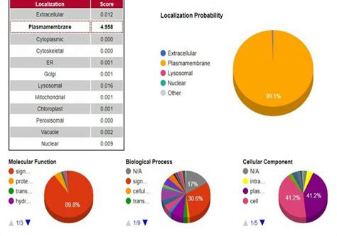 A Sub Cellular Localization And Gene Ontology A Molecular Functions Download Scientific