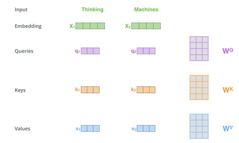 Transfomer Self Attention Wqwkwv Columns What Means Sequence Models