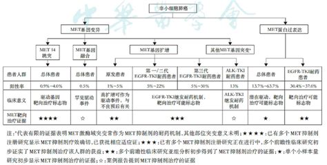 首部《非小细胞肺癌met临床检测中国专家共识》重磅发布！ 知乎