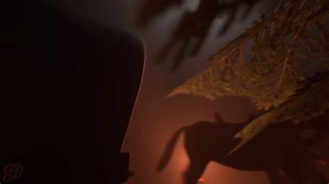 Doa Cowgirl Tina Armstrong