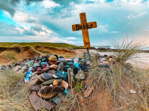 Dobby Harry Potter Grave Site At Louise Forsman Blog