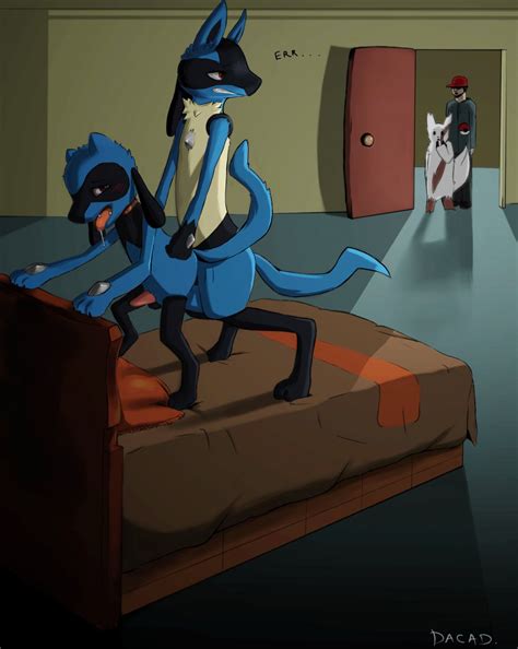 Post 1259213 Dacad Lucario Porkyman Riolu Zangoose