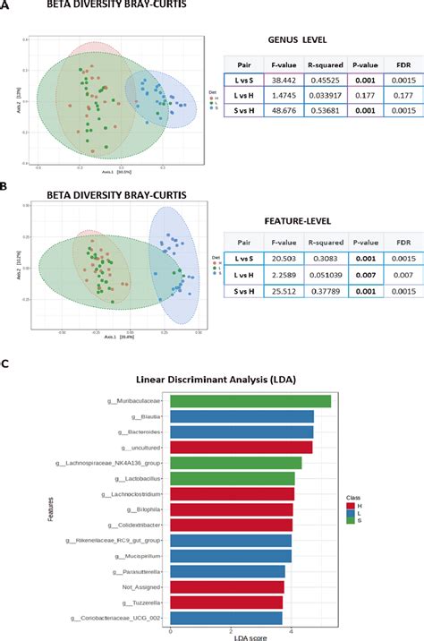 Sex Hormones And Diets Rich In Polyunsaturated ω 6ω 3 Fatty Acids