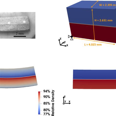 Sintering Of A Zno Bilayer Top Left Sintering Experiment Of Bilayer Download Scientific