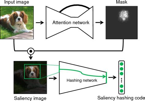 figure 1 from deep saliency hashing for fine grained retrieval