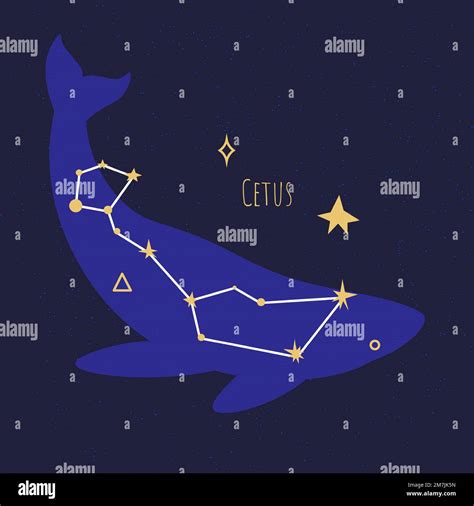 Star Formation Or Pleiad Making Shape Of Whale Constellation Of Cetus