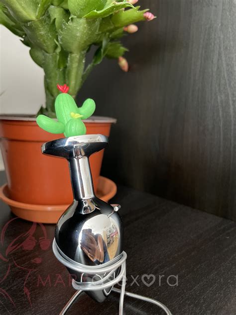 Plug Flor En El Culo