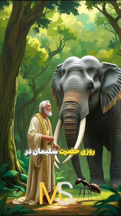 داستان حضرت سلیمان نبی و مورچه و فیل Youtube