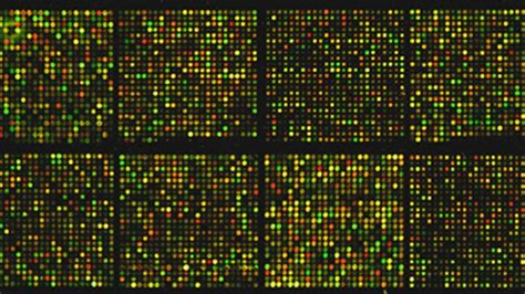 Machine Learning For Dna Microarrays Transforming Genomic Data Into Actionable Insights By