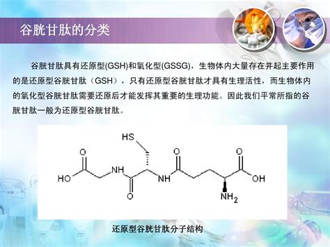 还原型谷胱甘肽 Word文档在线阅读与下载 无忧文档