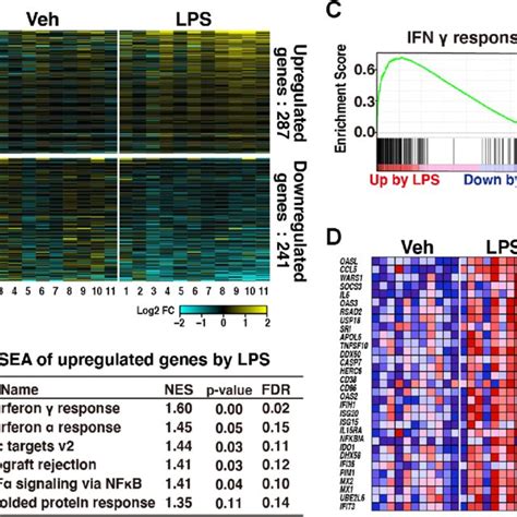 Differentially Expressed Genes Identified From Rna Seq Of Dem Induced Download Scientific