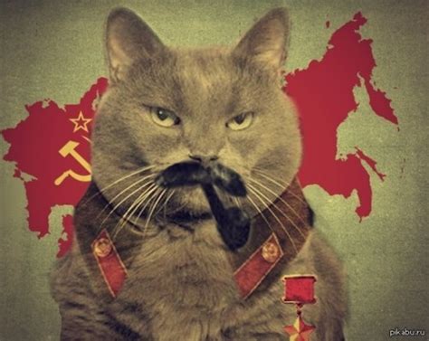 Stalin Cat Memes Lord Animus® على X Dont Make Great Leader