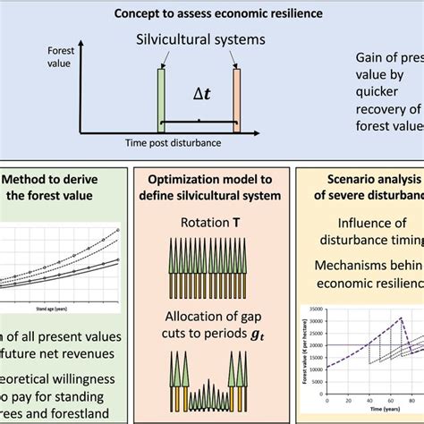 Components Of Our Analytical Framework Download Scientific Diagram