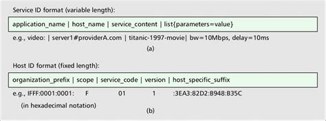 A Service ID B Host ID Formats Download Scientific Diagram