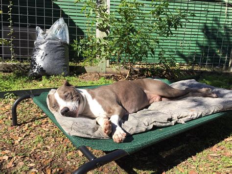 The Moth En Us Stories Rusty James