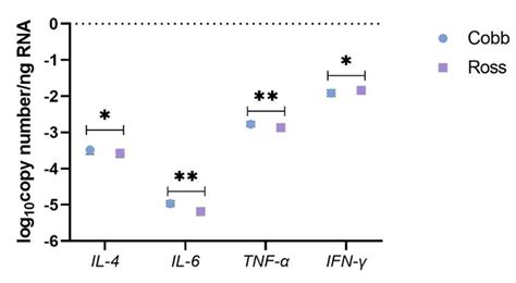 The Effect Of Breed On Mrna Expression In The Ileum Of Broilers The Download Scientific