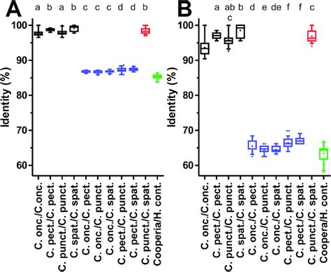 Pairwise Sequence Identities For Intra And Inter Species Comparisons At Download Scientific